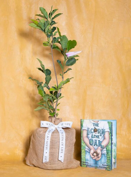 Memorial Gift Trees | In Memory of Gifts & Sympathy Trees