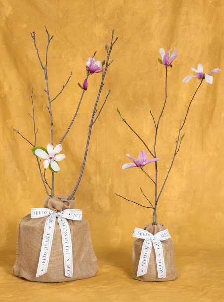 Memorial Gift Trees | In Memory of Gifts & Sympathy Trees