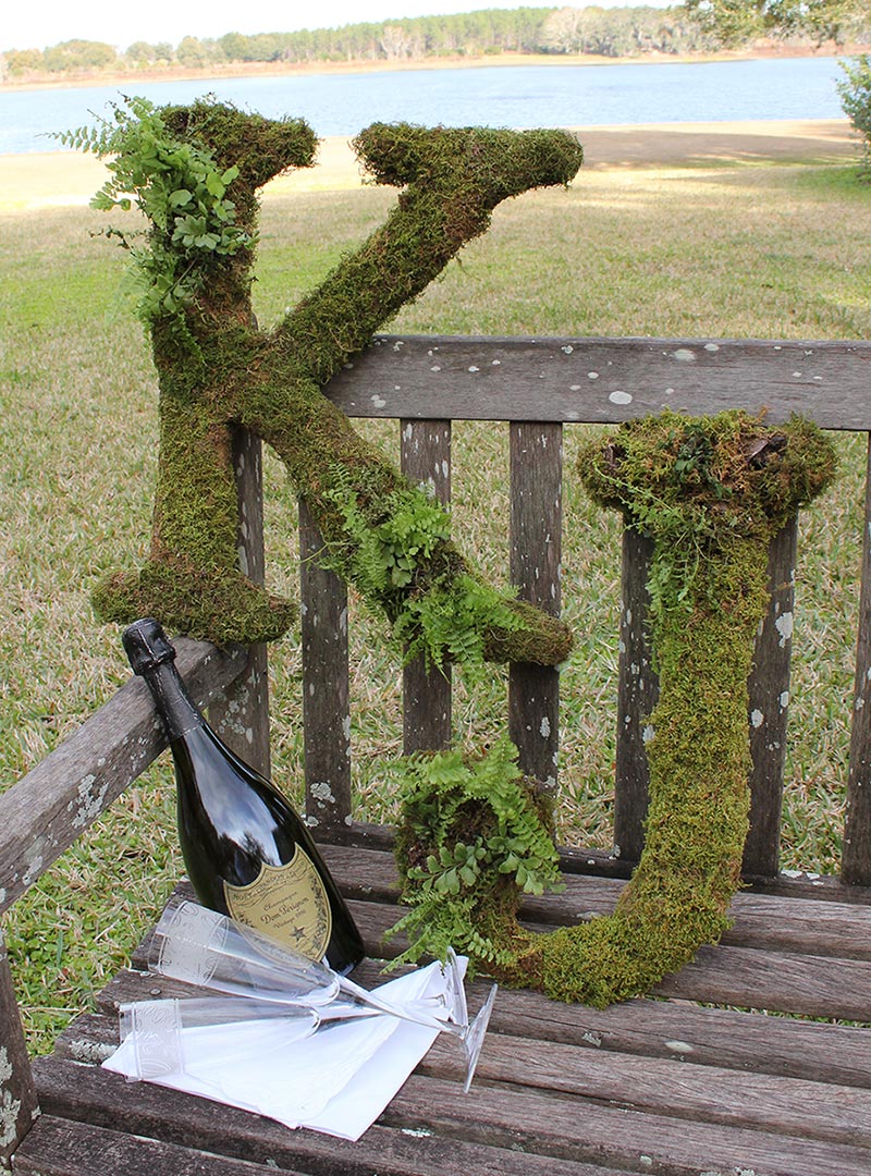 Moss Covered Letters: Seeds Of Life