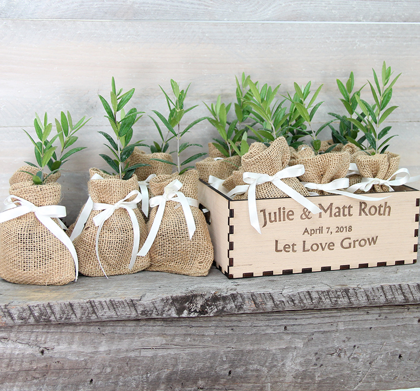 Live Tree Wedding Favors