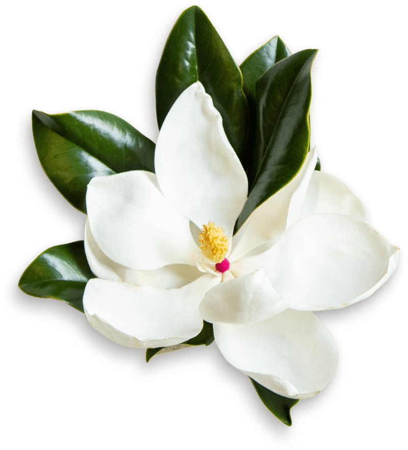 Seeds of Life: Gift Trees | Send a Memorial Tree