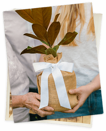 Seeds of Life: Gift Trees | Send a Memorial Tree