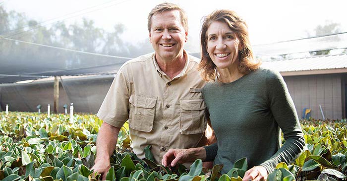 Seeds of Life Gift Trees | Memorial Tree Gifts
